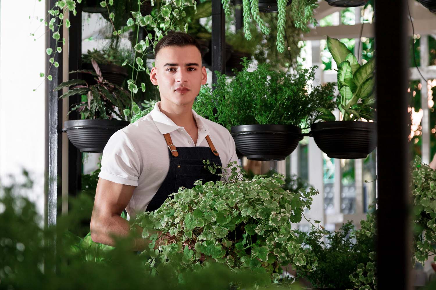 Why we should choose the Gardenhub? - Grow Gardening Services